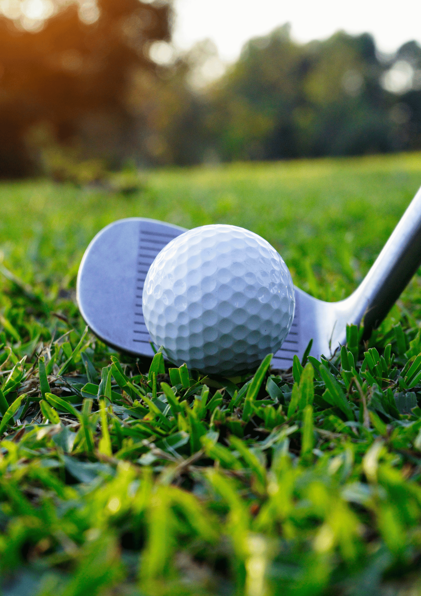 Albatros Golf - Sekwencja
