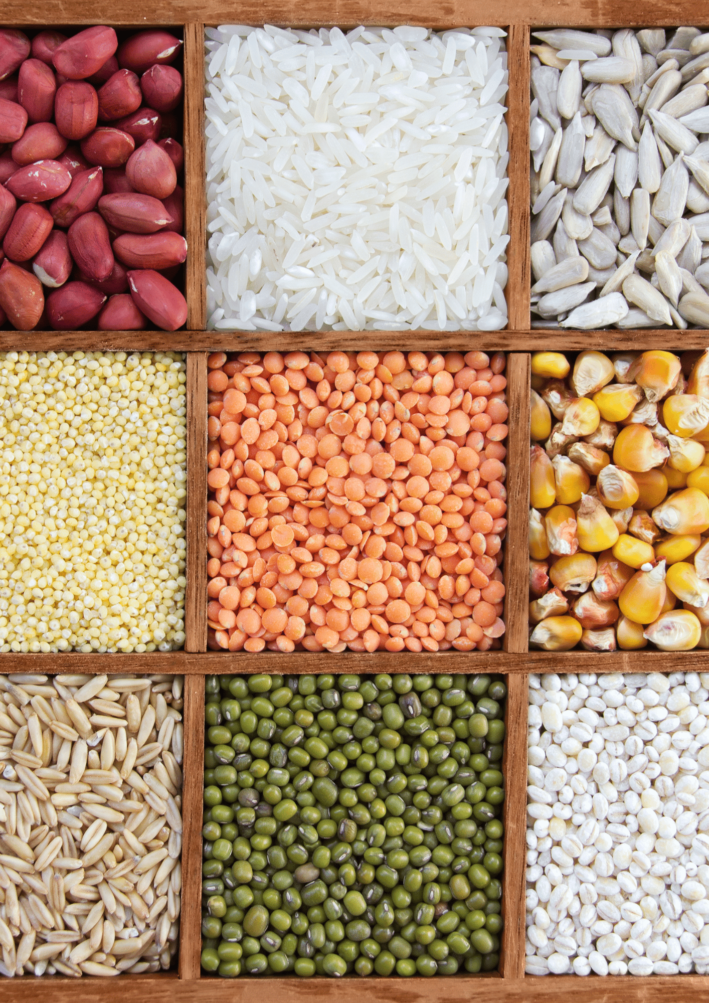 Imarti Poland - Sekwencja